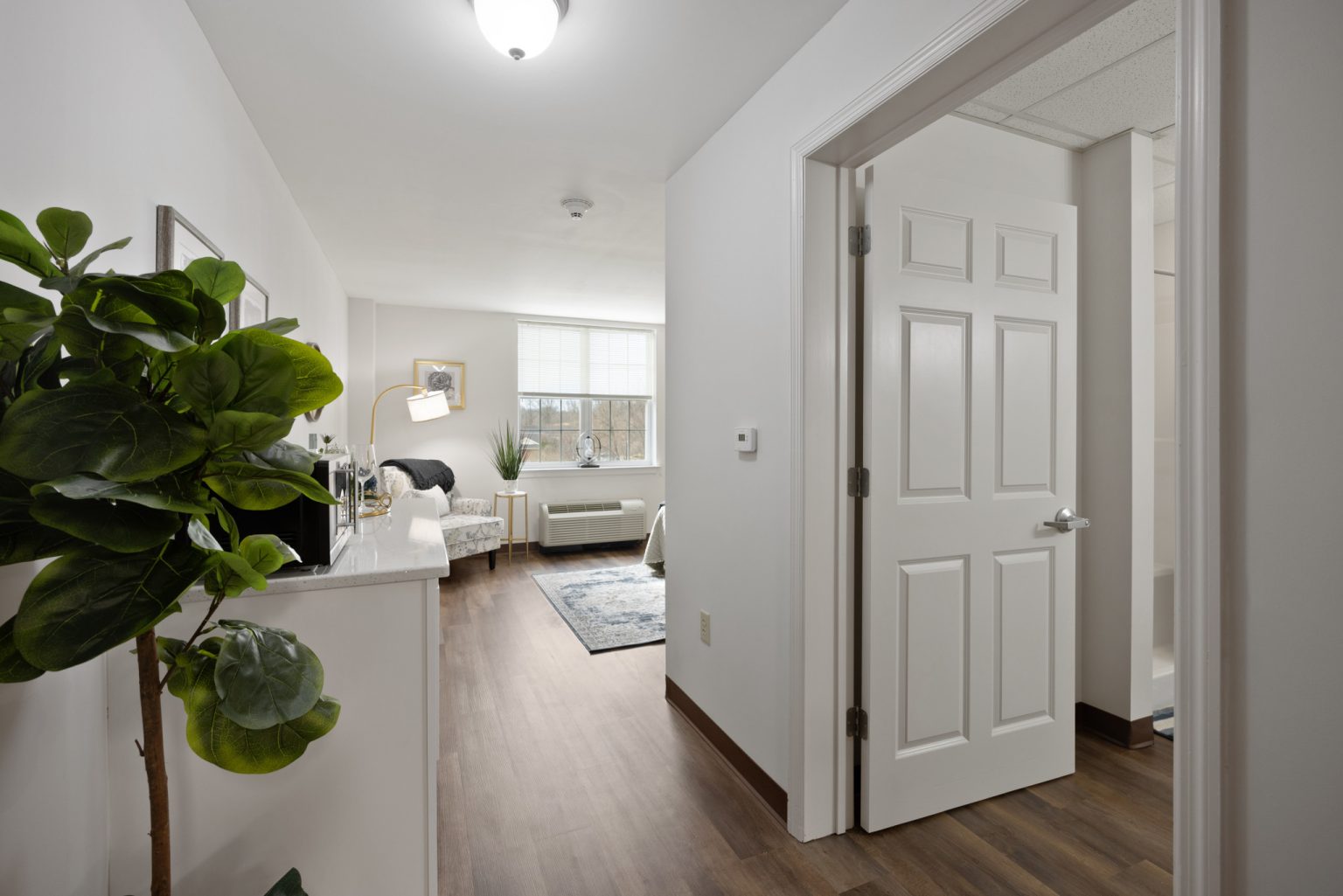 York PA Senior Living Photo Gallery - Seaton Springwood